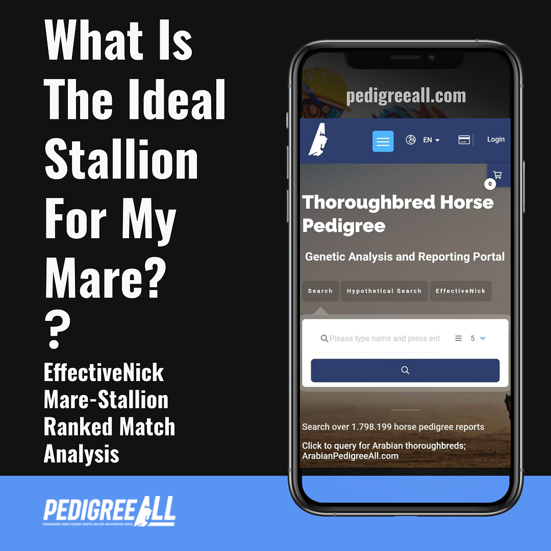 Mare & Stallion Match EffectiveNick Ranked Report